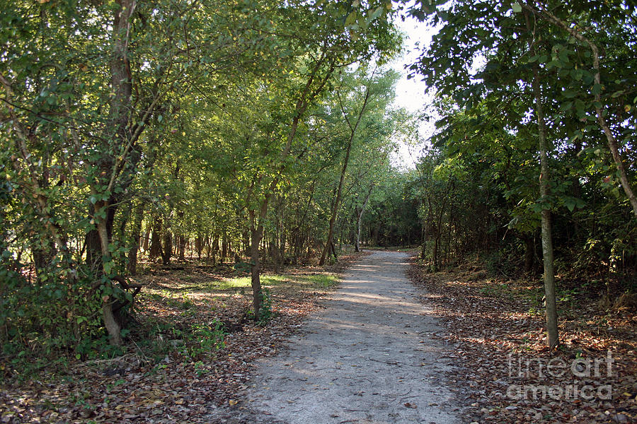 Secluded Path Photograph by Martha Burton - Pixels
