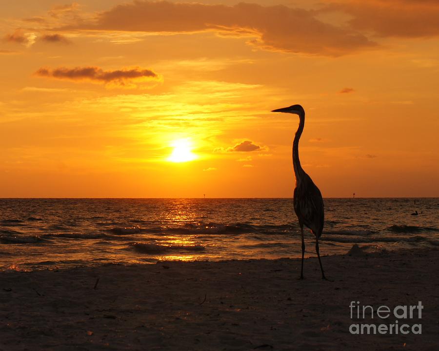 Second Look Photograph by Brian Eddleman - Fine Art America