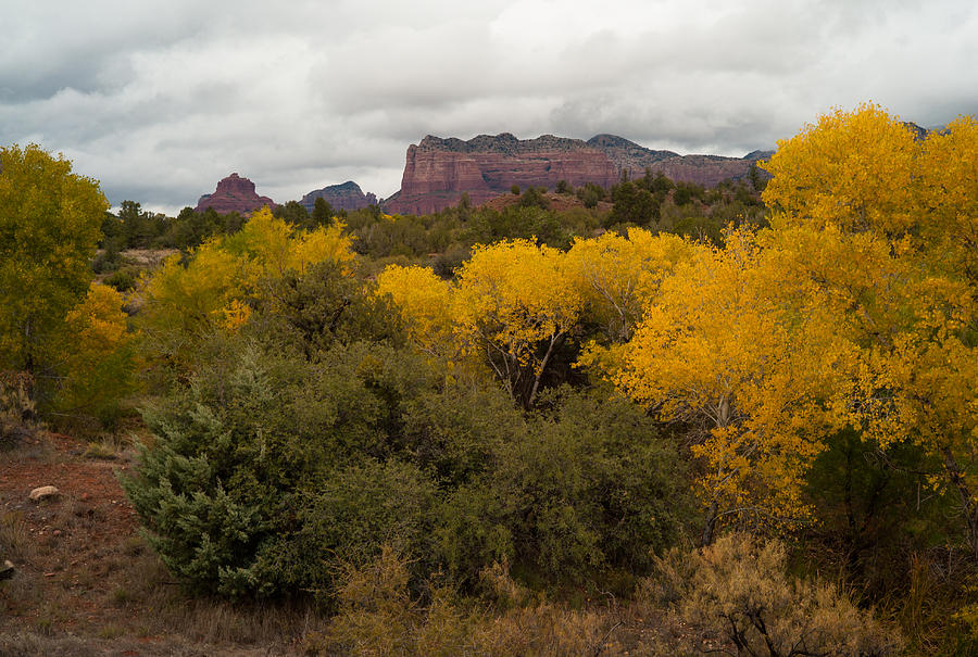 Sedona Fall Photograph by Steve Wile - Fine Art America