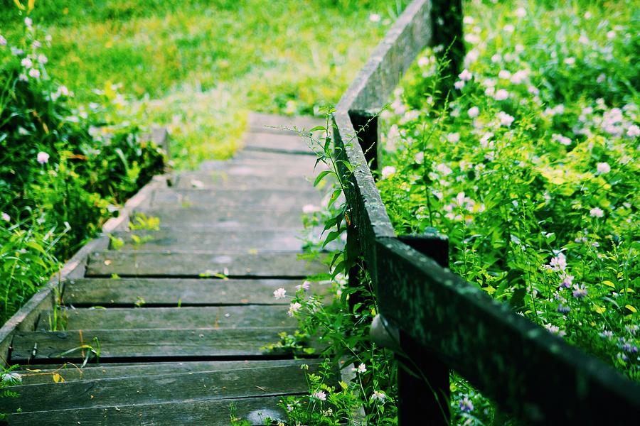 Serenity Photograph by Emma Stapleton - Fine Art America