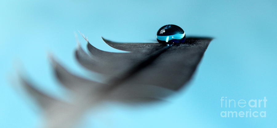 Serenity Photograph By Krissy Katsimbras Fine Art America