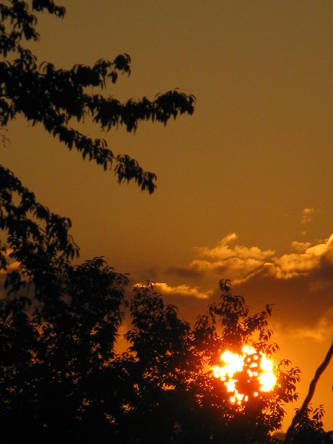 Setting Summer Sun Photograph by Beth Warnock - Fine Art America