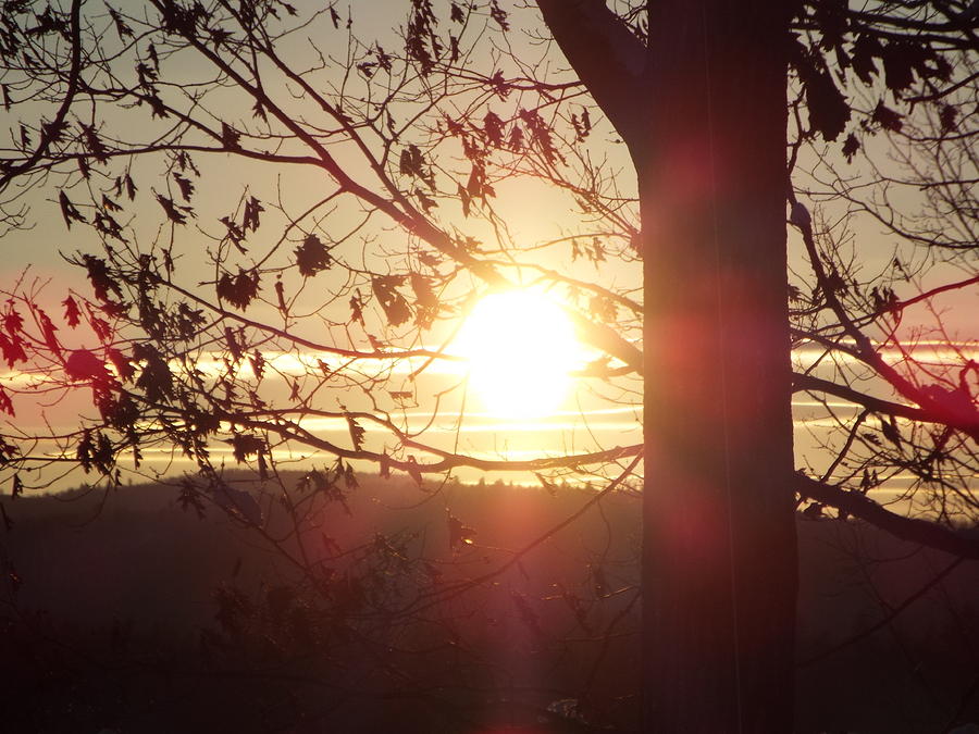 Setting Sun Photograph by Cheryl King - Fine Art America