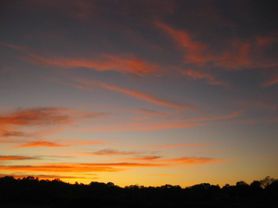 Setting Sun Photograph by Katina Borges - Fine Art America