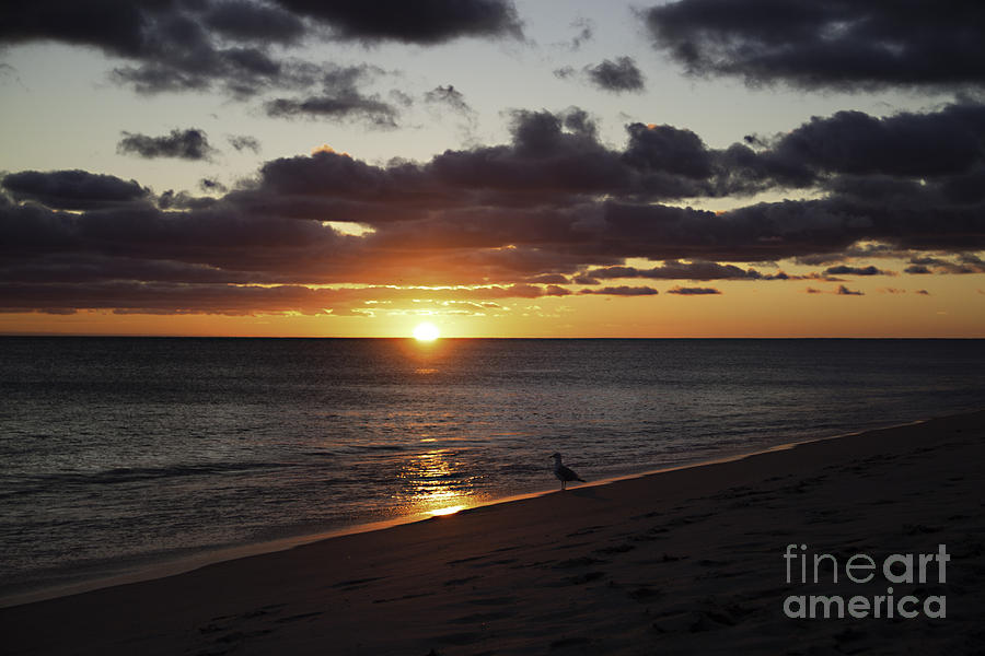 Setting sun Photograph by Michael Thompson - Fine Art America