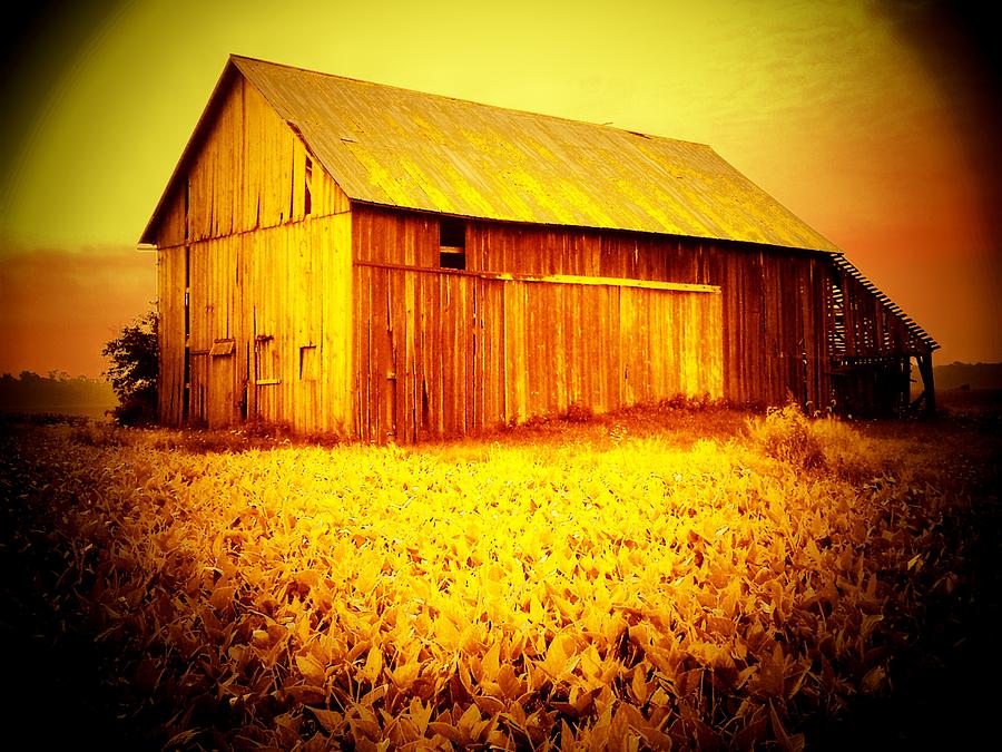 Shadow Barn Photograph by Michael L Kimble - Fine Art America