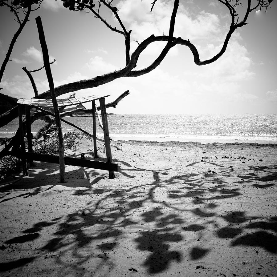 Shadow Tree Photograph by Ferry Zievinger - Pixels