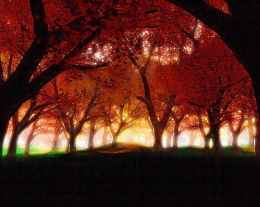 Shadow with Trees Digital Art by Mitchell Gibson - Fine Art America