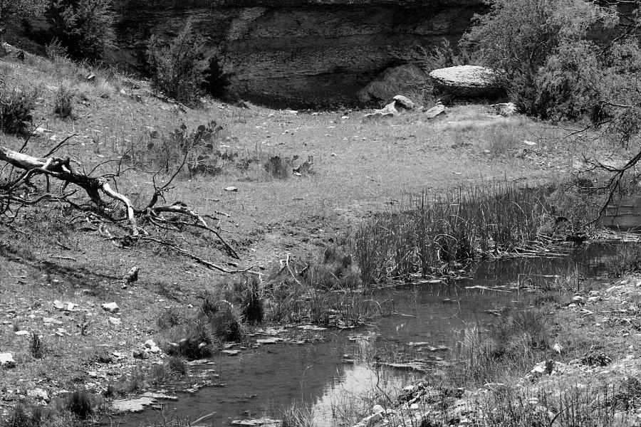 Shallow Spring Photograph by Rick Collins - Fine Art America