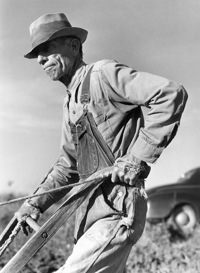Sharecropper, 1941 Photograph by Granger - Fine Art America