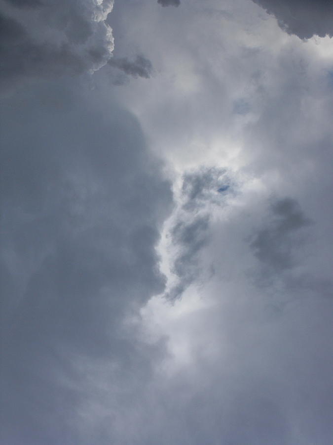 Sharp eyes Photograph by John OBrien - Fine Art America