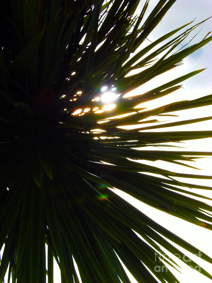 Sharp Light Painting by Gee Lyon - Pixels