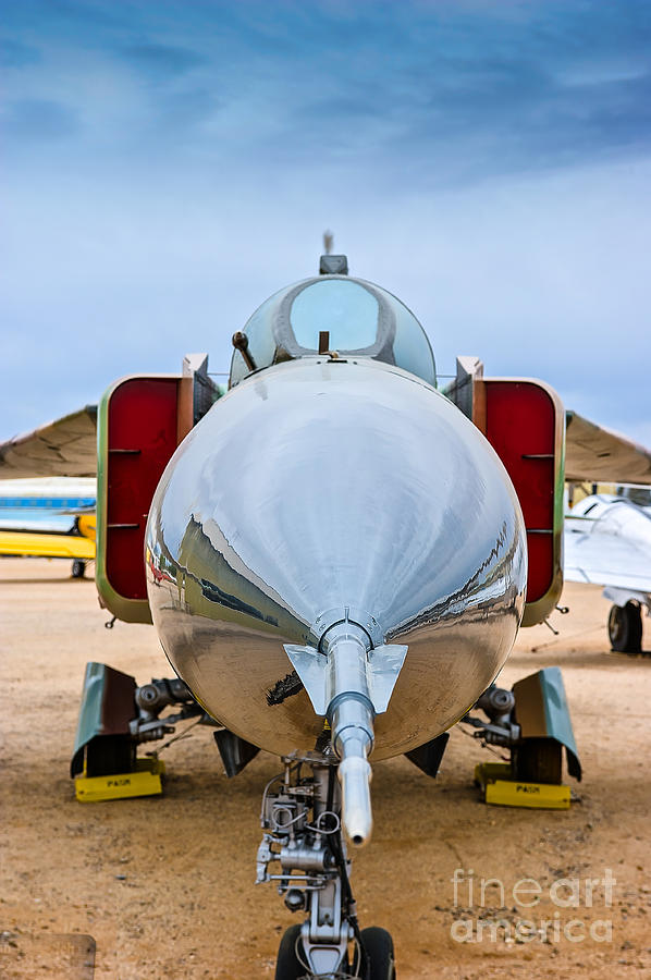 Sharp Nose Photograph by Ken Andersen - Pixels