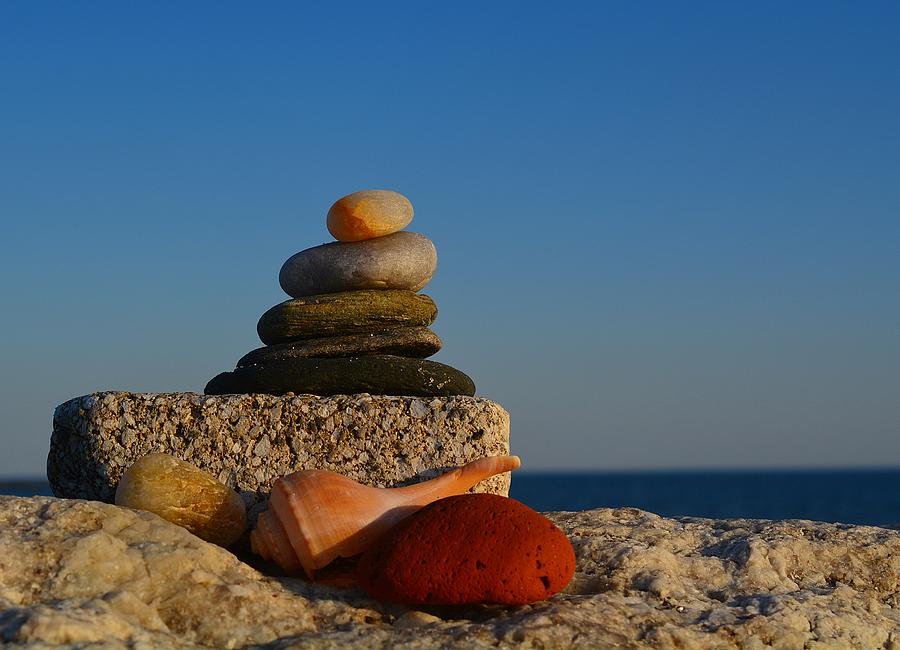 Shell and Pebbles Photograph by Helene Dignard - Pixels