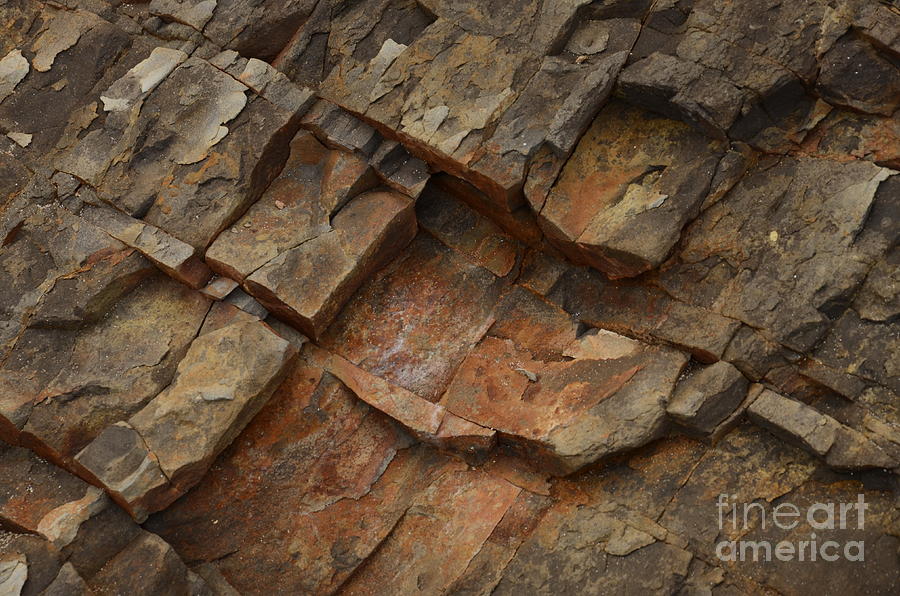 Shell Beach Rock 2774 Photograph by Charles Majewski - Fine Art America