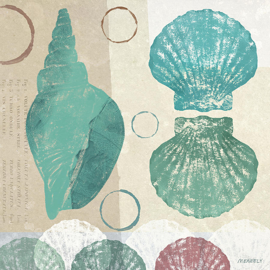 Shell Collage II Digital Art by Dan Meneely - Fine Art America