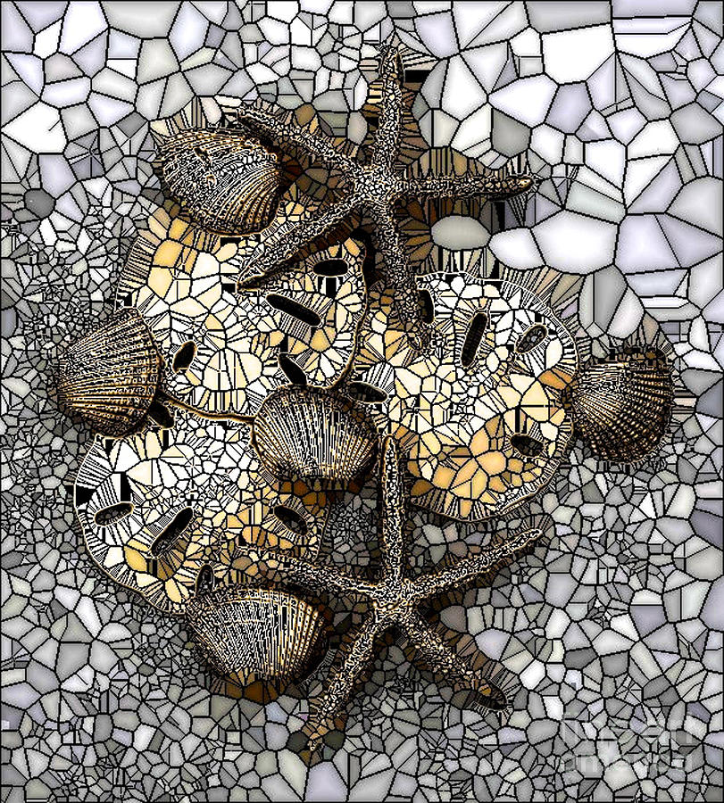 Shell Effects 13 Photograph by Michael Anthony | Fine Art America