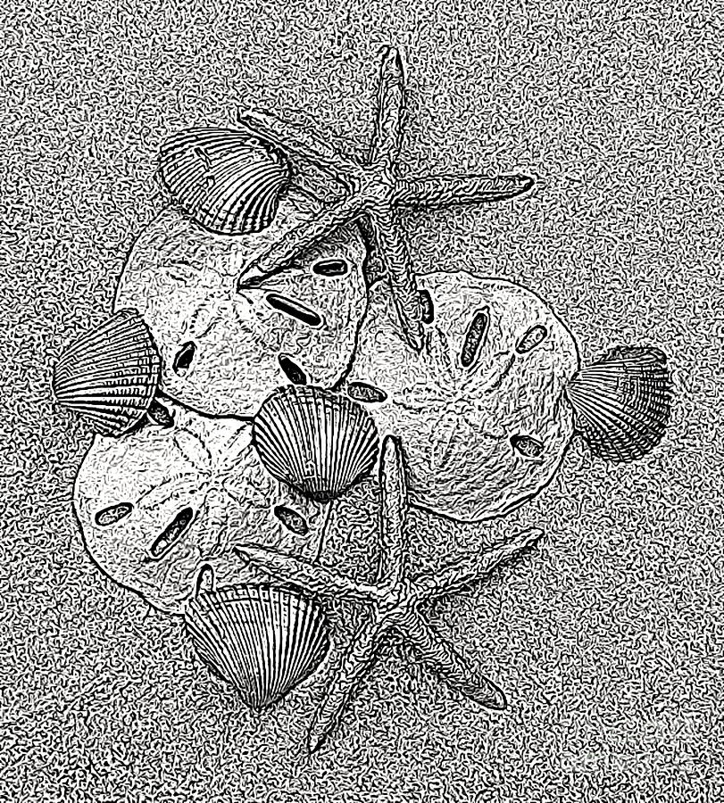 Shell Effects 15 Photograph by Michael Anthony - Fine Art America