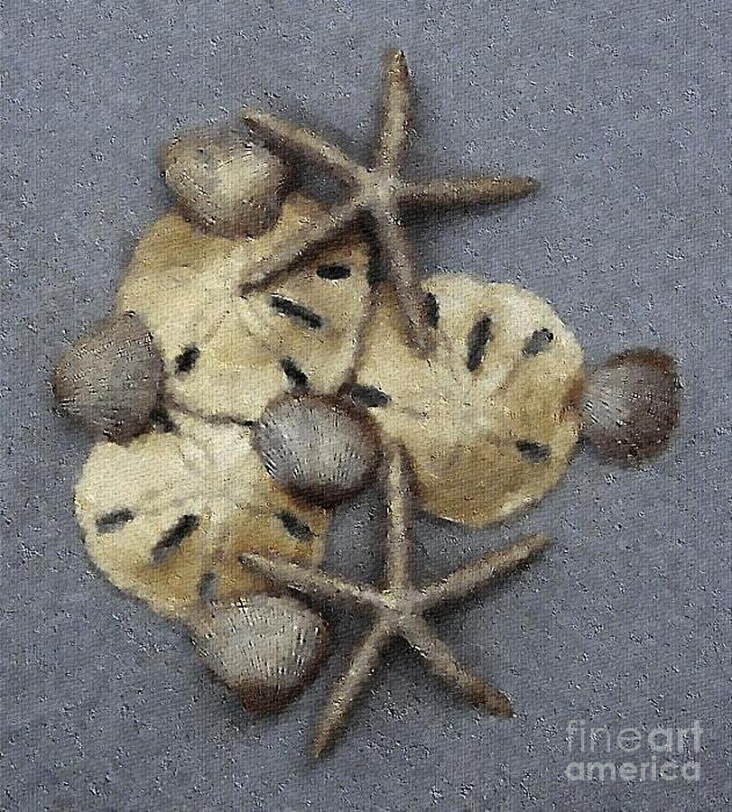 Shell Effects 2 Photograph by Michael Anthony | Fine Art America