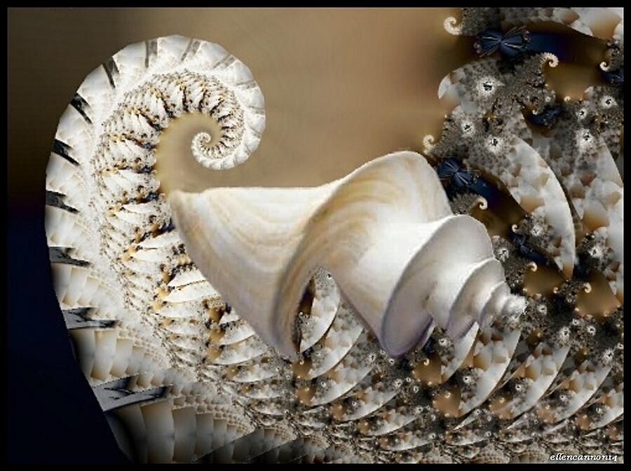 Shell Game Digital Art by Ellen Cannon - Fine Art America