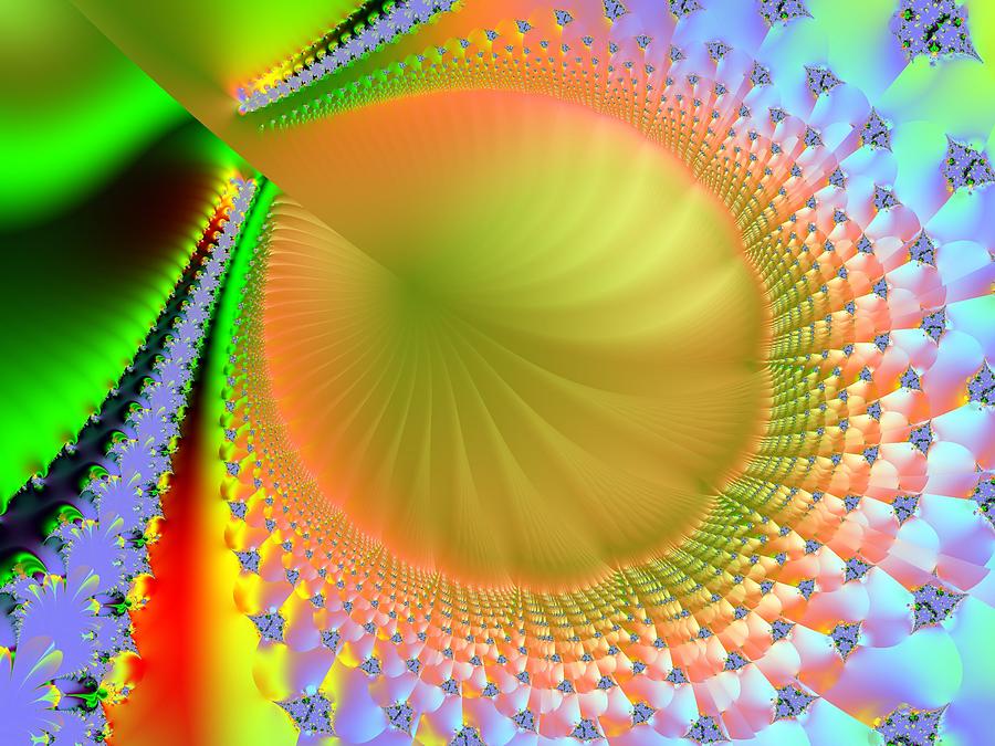 Shell Peach Digital Art by Robin Stevens - Fine Art America