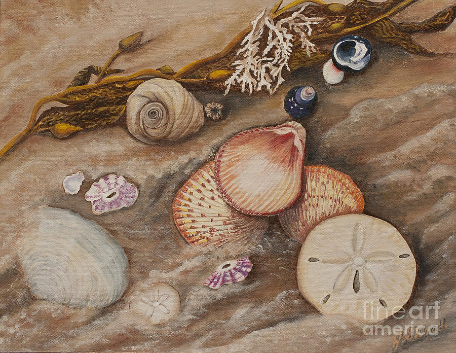 Shells Painting by Jeanne Wrede | Fine Art America