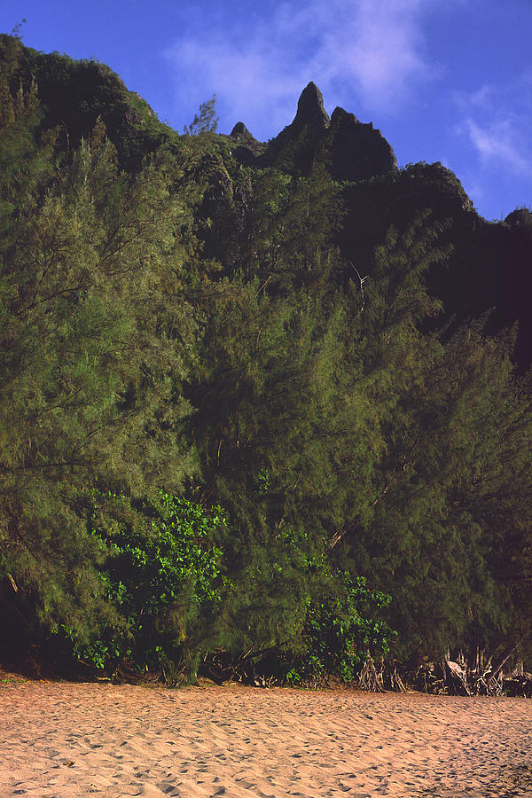 Sheltering Ke'e Photograph by Morris McClung - Fine Art America