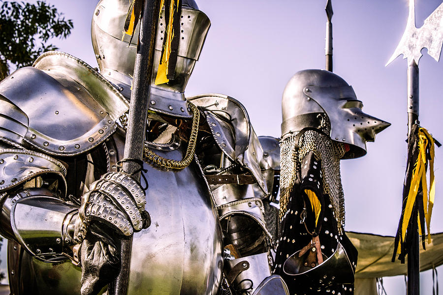 Shining Armor Photograph by Derek Bell | Pixels