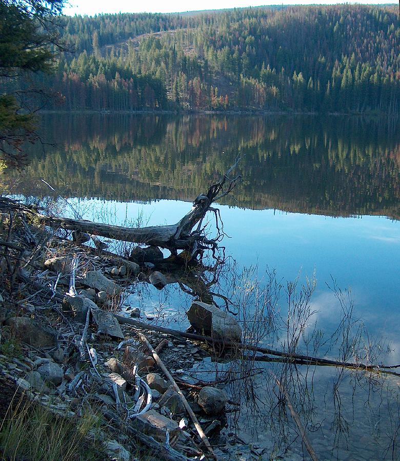 Shoreline Reflections Photograph by Mark Eisenbeil - Fine Art America