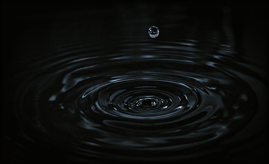 Silver Drop Photograph by Lisa Bryant - Fine Art America