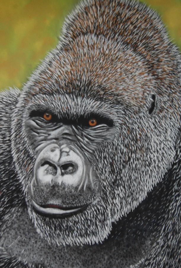 Silverback gorilla Painting by David Bennett - Fine Art America