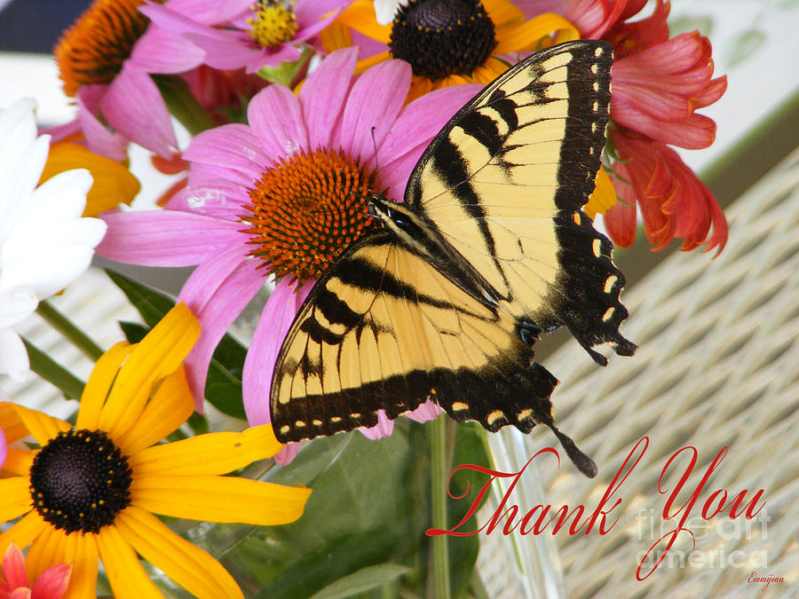 Simple Photograph by Melissa Lightner - Fine Art America