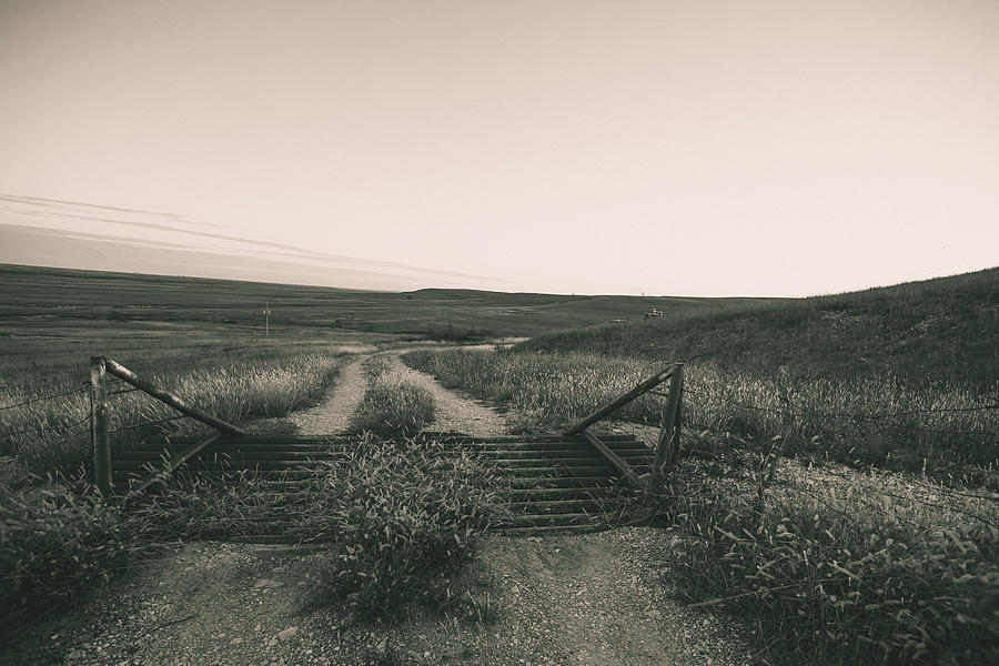 Simple Photograph by Patrick Weldon - Fine Art America