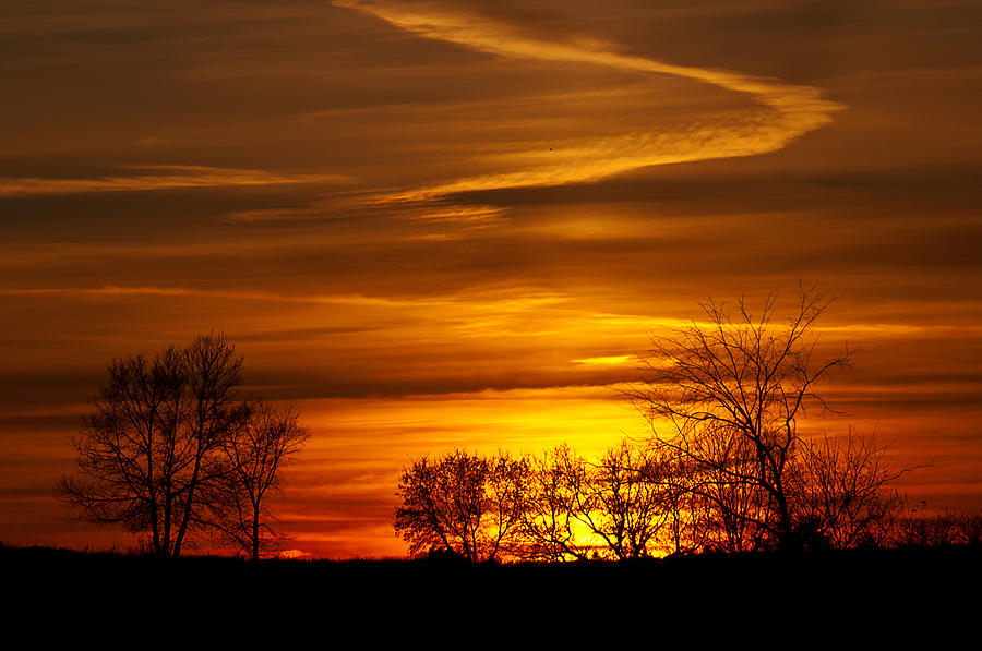 Simple Sunset Photograph by Celso Bressan - Fine Art America