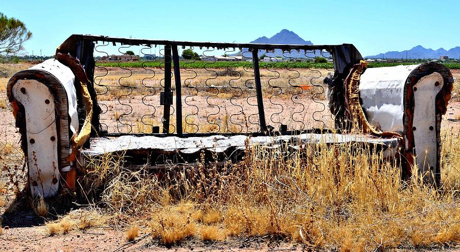 Simplicity Photograph by Eden Shuster - Fine Art America