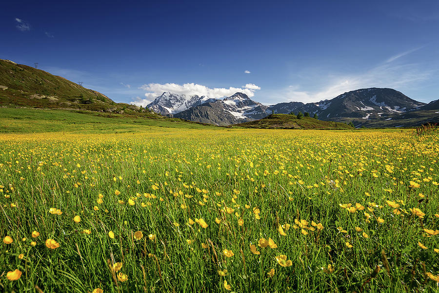 Simplon Pass by Beppeverge