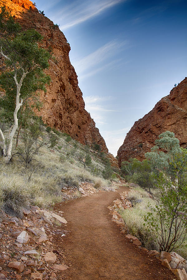 Simpsons Gap Path Photograph by Douglas Barnard - Fine Art America