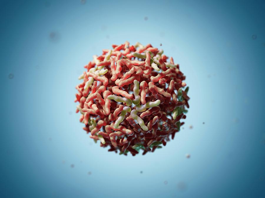 Sindbis Virus Particle Photograph by Science Photo Library - Pixels