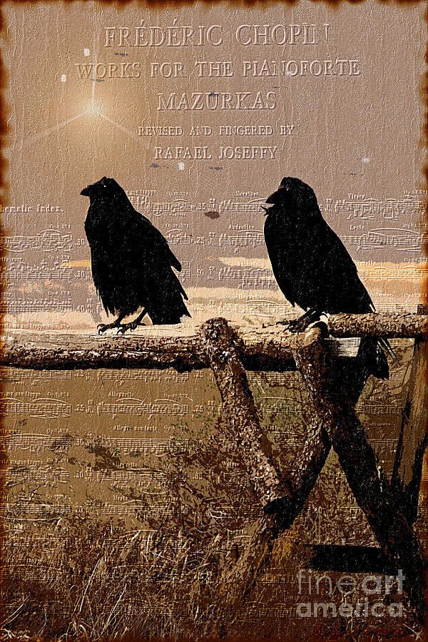 Singing Crows Photograph by Barbara D Richards | Fine Art America