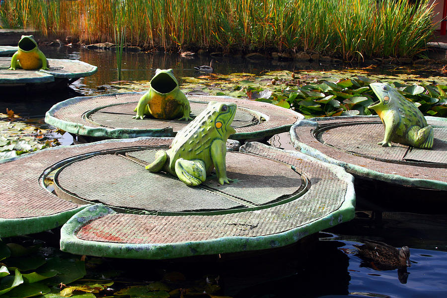 Singing Frogs Photograph by Doc Braham - Fine Art America