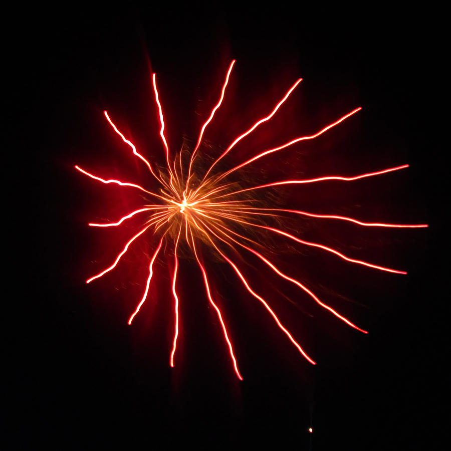 Single Firework Photograph by Megan Dotter - Fine Art America