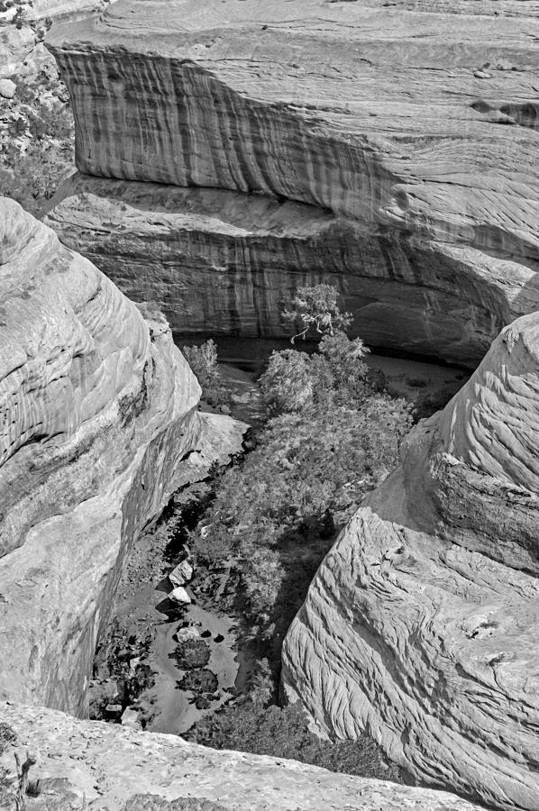 Sipapu Path Photograph by Gene Norris - Fine Art America