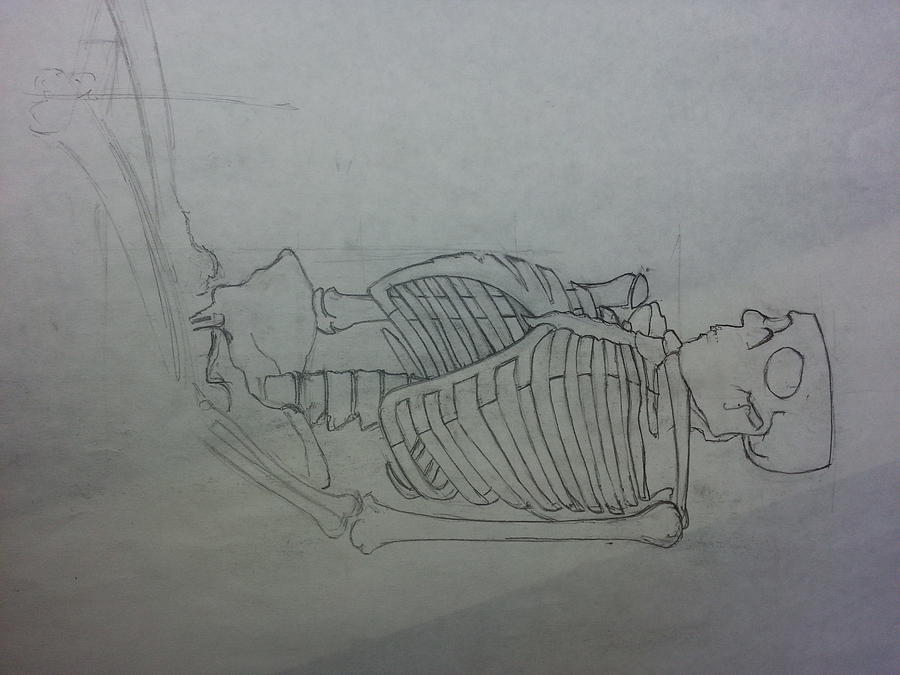 Skeleton Drawing by Josh Telfer - Fine Art America