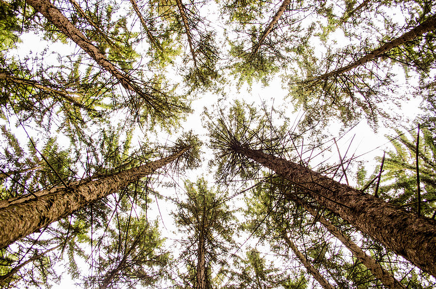 Sky High Photograph by Jonathan Smith | Fine Art America
