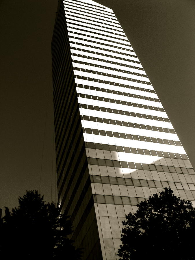 Sky Scraper Photograph by MB Matthews - Fine Art America