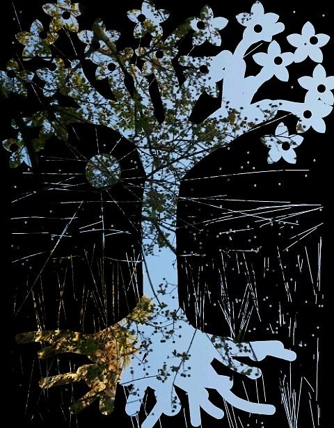 Sky Tree Digital Art by Michael African Visions - Fine Art America