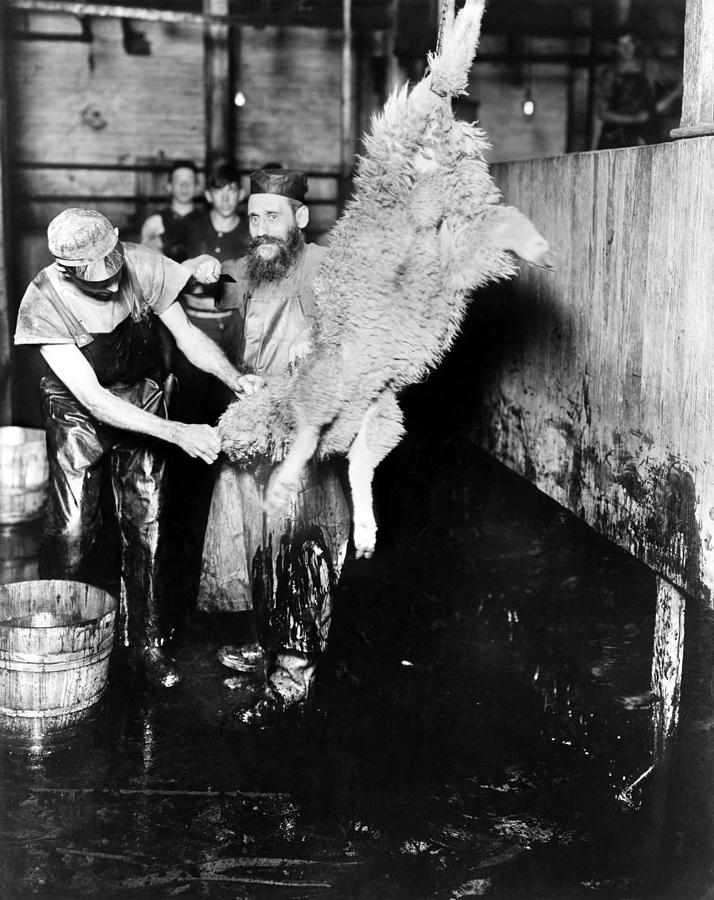Slaughterhouse, C1913 Photograph by Granger - Pixels