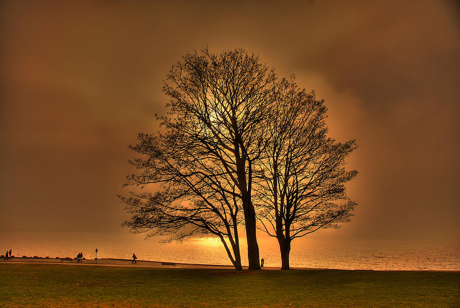 Sleeping Spring Photograph by Doug Farmer - Fine Art America