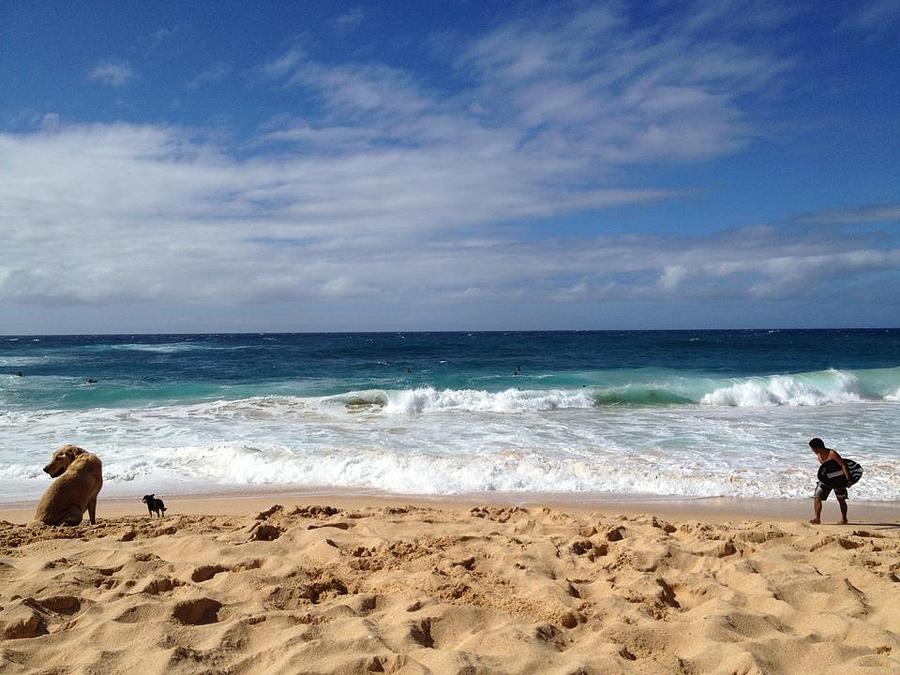Small Sandys Photograph by Adam Stack - Fine Art America