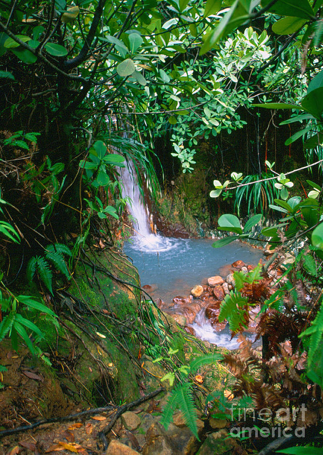 Small tranquil waterfall Photograph by Eric Riesch - Fine Art America